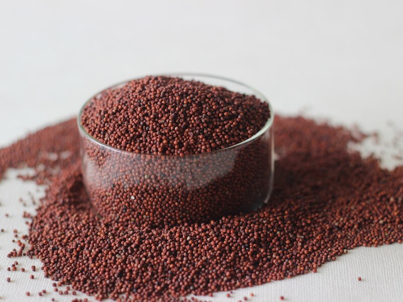 5 desi foods will give you more calcium than milk your bones get strong ...