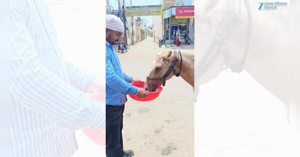 chabeel drink sewa in Kurali is not just for humans but also for ...