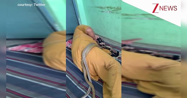 Two snakes climbed on sleeping woman then what happened will shock you ...