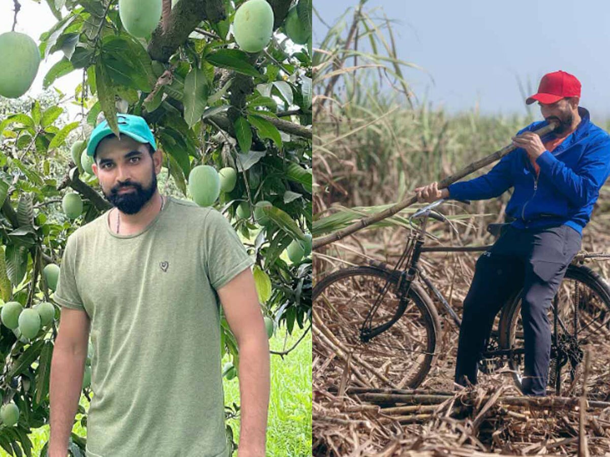 inside pics of mohammed shami farmhouse as name of hasin jahan in ...