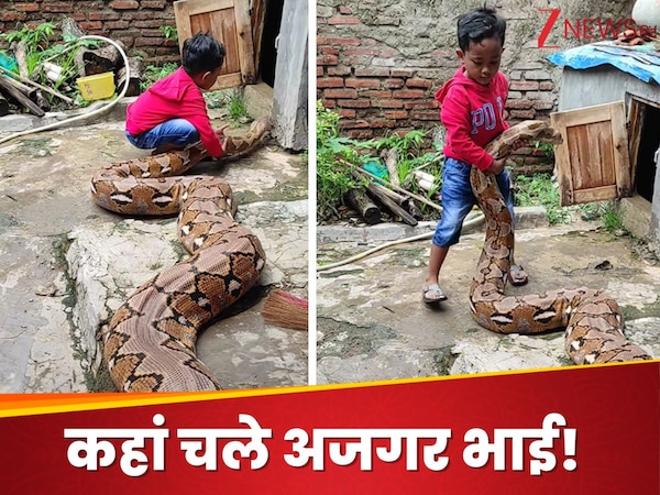 Viral Video Kid kept playing with python family members kept making ...
