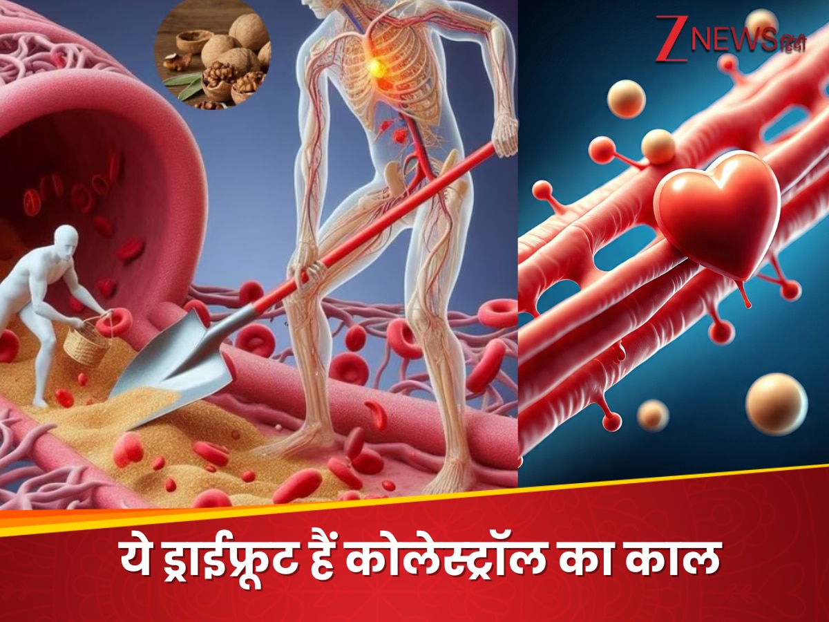 3987638-cholestral-akhrot.png?im=FitAndFill=(1200,900)