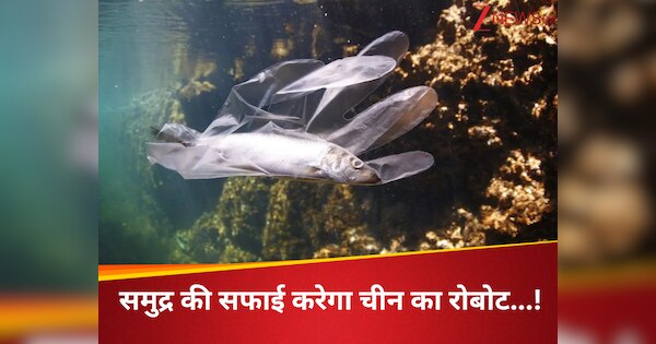 Chinese scientists develop robotic fish which eat microplastic from sea ...