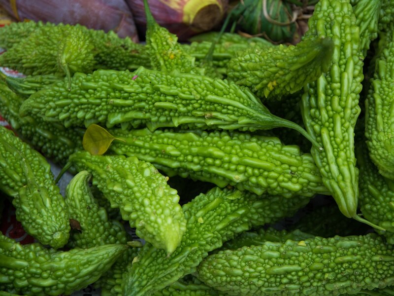 Bottle gourd to bitter gourd these 6 bitter foods will health body ...
