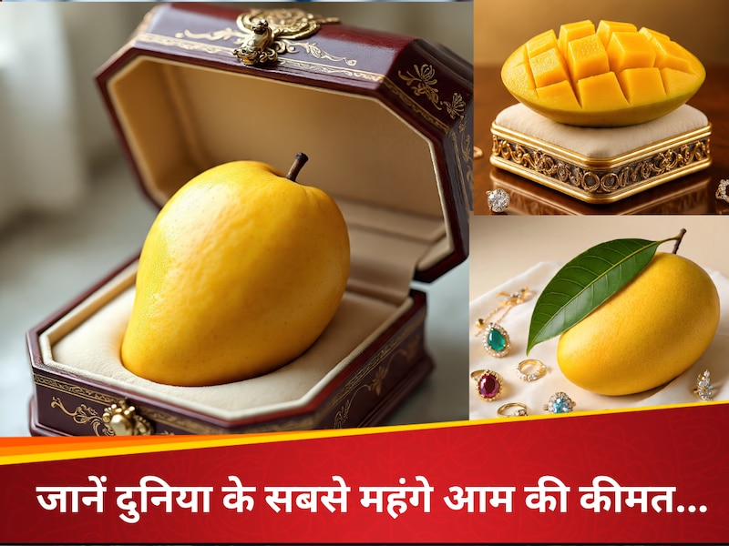 World most expensive Mango know here duniya ka sabse mehnga aam kaun sa ...