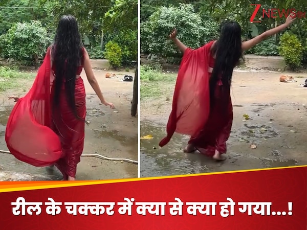 Viral Video : बारिश, लाल साड़ी और रील, सब ठीक चल रहा था; तभी दीदी के ...
