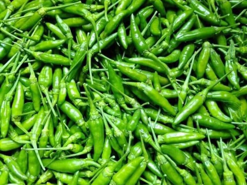 This green chili thing will increase immunity and brighten eyesight ...