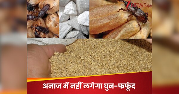 Home care hack anaj me ghun aur fafund lagne se kaise bachaye | बारिश ...