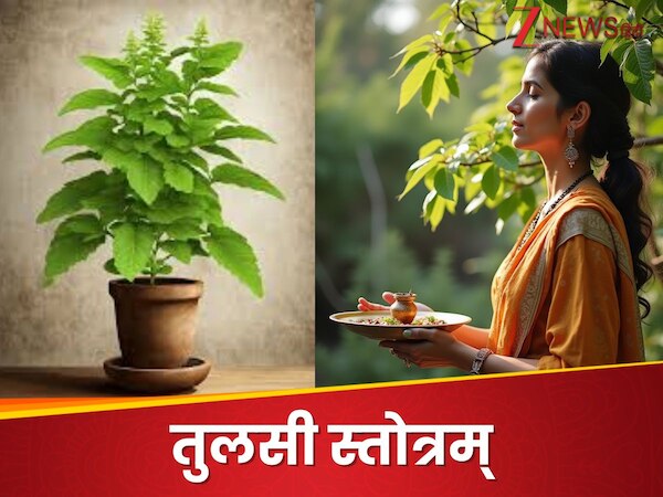 Reciting powerful Tulsi Stotra on ekadashi destroys 32 types of sins read tulsi stotram lyrics ...