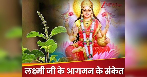 5 signs of Tulsi plant tell that Maa Laxmi is coming in your house ...