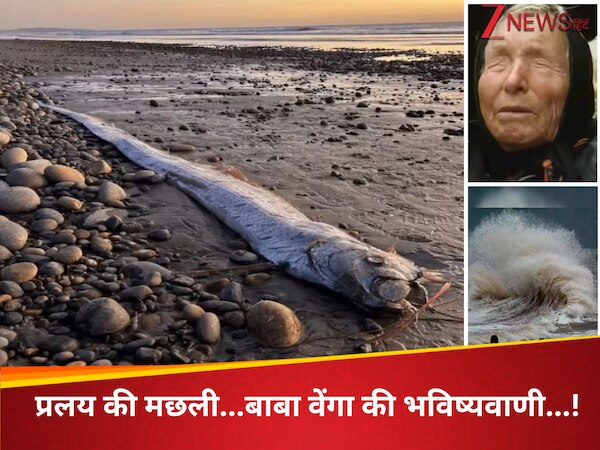 Oarfish or doomsday fish high alert for tsunami on 5 July Japanese baba ...