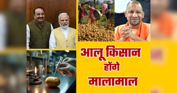 Modi cabinet approve international potato center in agra know how it ...