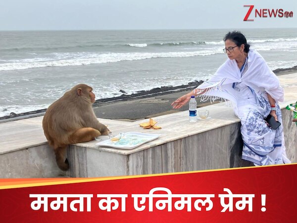 Mamata Banerjee feeding food and biscuits to a Monkey reached the ...