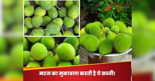 know the most powerful vegetable kakora or spiny guard is better than ...