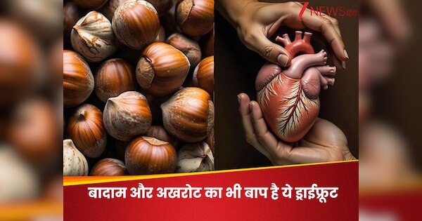 Hazelnuts are more powerful and beneficial than almonds and walnuts ...