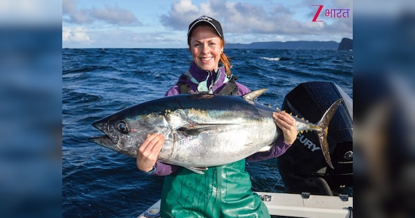 most expensive fish in the world bluefin tuna price and facts | दुनिया ...