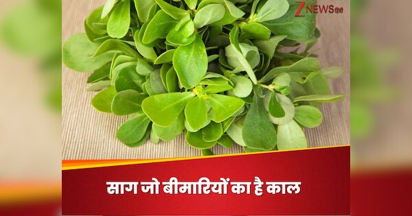 Kulfa Saag Khaane Ke Fayde purslane Vegetable Health Advantages ...