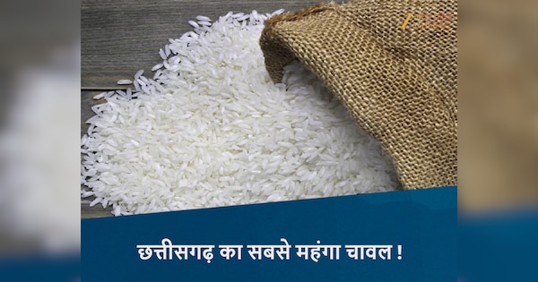 chhattisgarh most expensive rice jeeraphool chawal get gi tag paddy ...