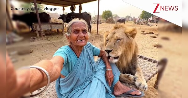 Dadi making shocking vlog sitting with king of jungle said ram ram bhai sara ne | 'राम-राम भाई ...