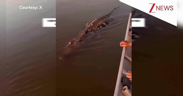 Fisherman hit crocodile think that he died the way he attack will five ...