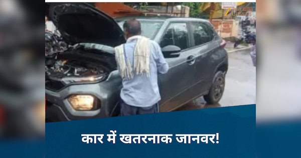 dangerous goh animal was hiding in the bonnet of a car in Katni ...