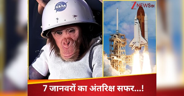 Before humans these 7 animals landed in space cat dog chimpanzee turtle ...