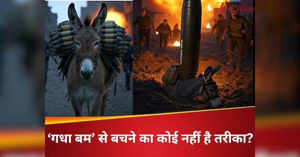 What is Donkey bomb kills soldier in Colombia Here what happened know ...