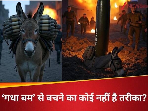 What is Donkey bomb kills soldier in Colombia Here what happened know ...