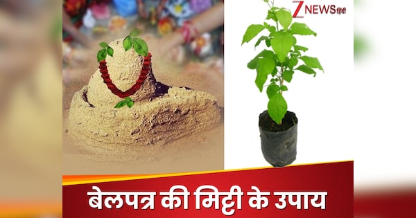 soil of Bel Patra tree miraculous Lord Shiva himself told its ...
