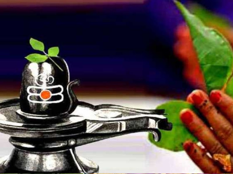 soil of Bel Patra tree miraculous Lord Shiva himself told its ...