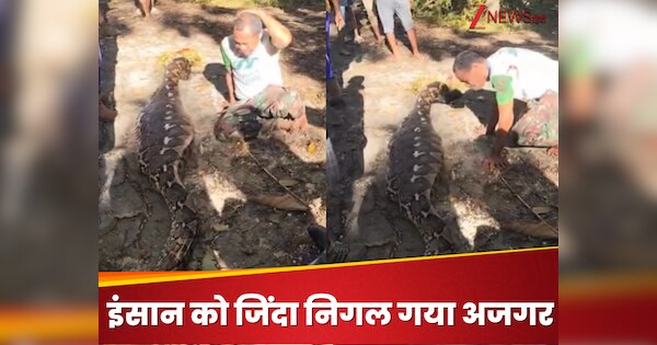 WATCH Python Swallows Man Alive Body Recovered After Cutting Open Belly ...