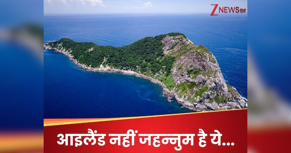 Snake Island and deadliest place on Earth Story of Ilha da Queimada ...