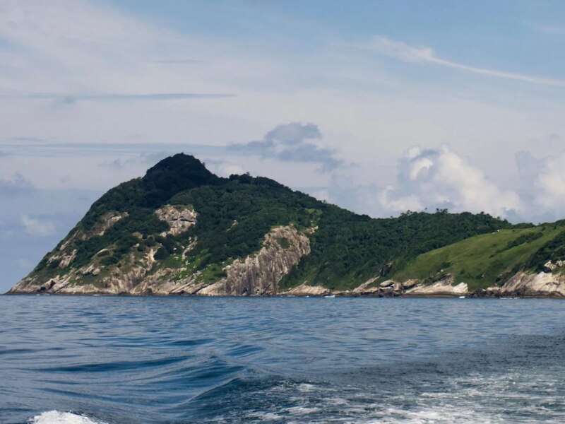 Snake Island and deadliest place on Earth Story of Ilha da Queimada ...