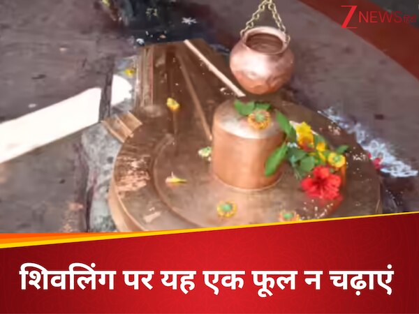Sawan 2025 ketki phool ki katha in hindi dont offer ketki flowers to ...