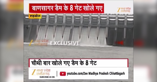 heavy rain in shahdol district bansagar dam 8 gates opened for the ...