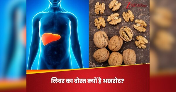 Walnut For preventing liver disease Know how much you can eat daily ...