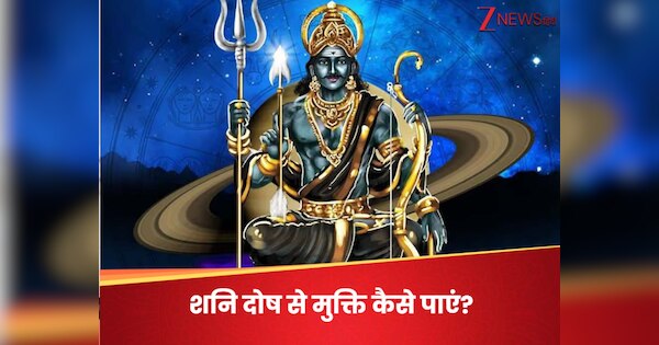 Shani ki Saddhe Saati aur Dhaiya se Mukti Kaise Payein Which plant is ...