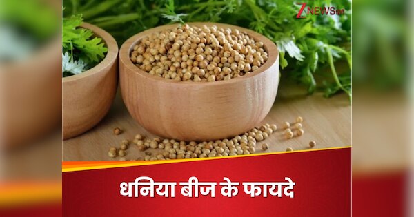 Chewing coriander seeds can solve these 5 big problems know how to use ...