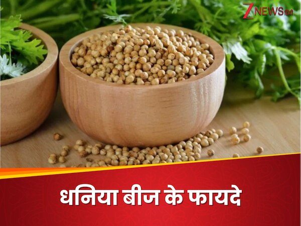 Chewing coriander seeds can solve these 5 big problems know how to use ...