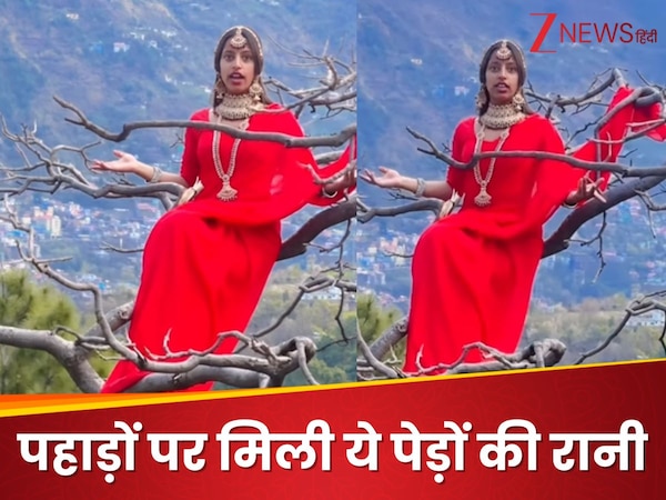Tree queen Instagram reel dangerous stunt video viral | पेड़ों की रानी ...