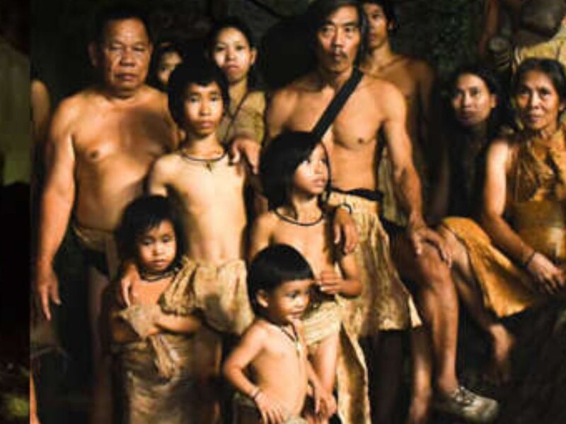 Palawan Weird Tribe quiet world living in the jungle which is now in danger | Weird Tribes: चावल ...
