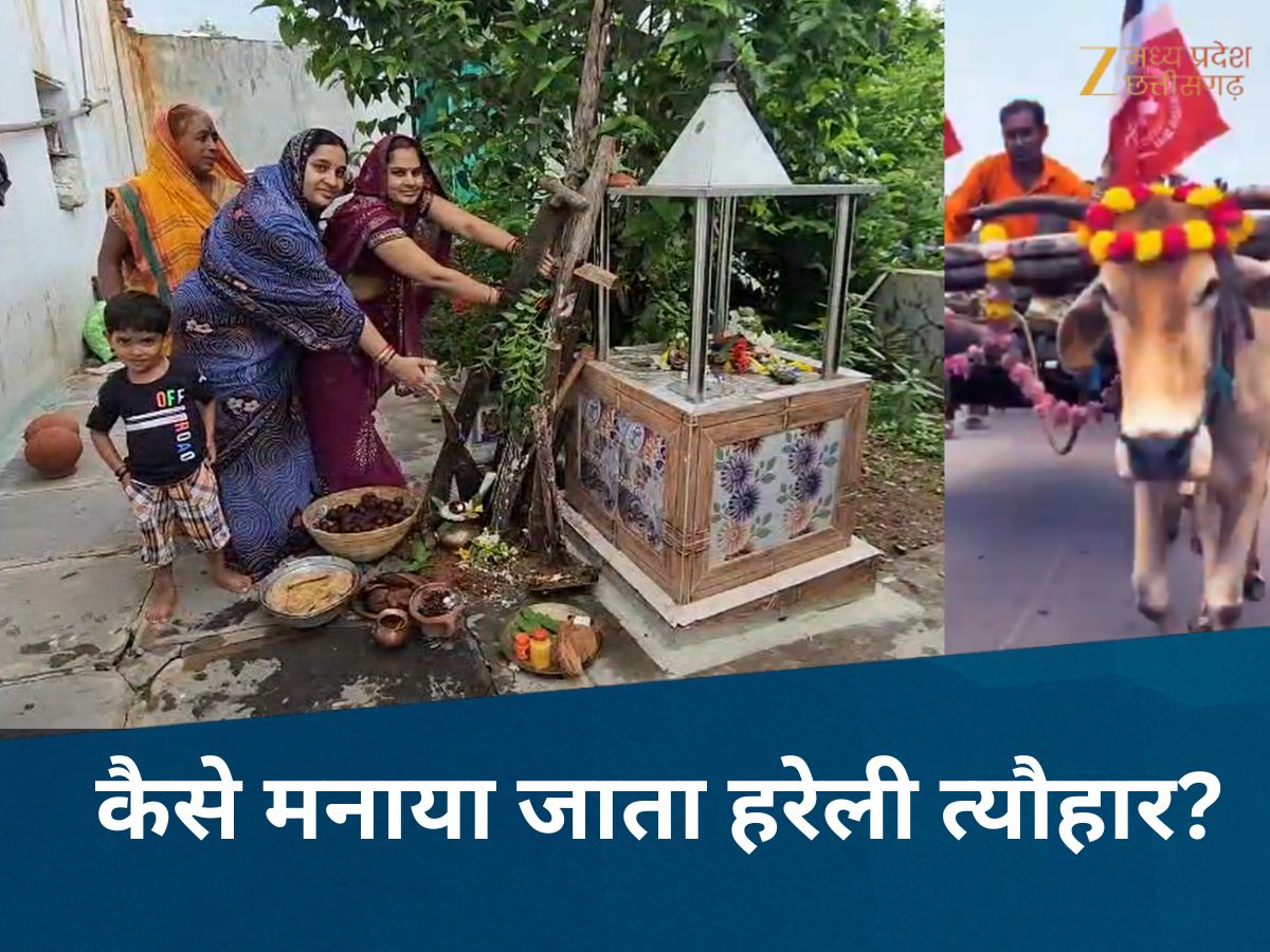 hareli tihar 2025 significance and date know cg greenery culture ...