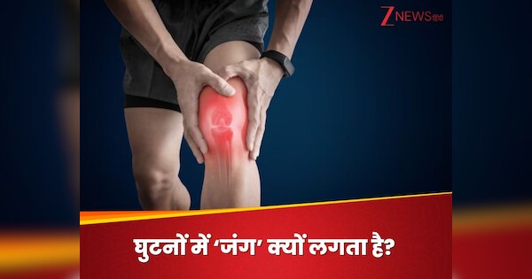 Rusty Hinge Feeling in Knee Joints Are Sign of These 5 Disease Synovial Fluid Osteoarthritis ...