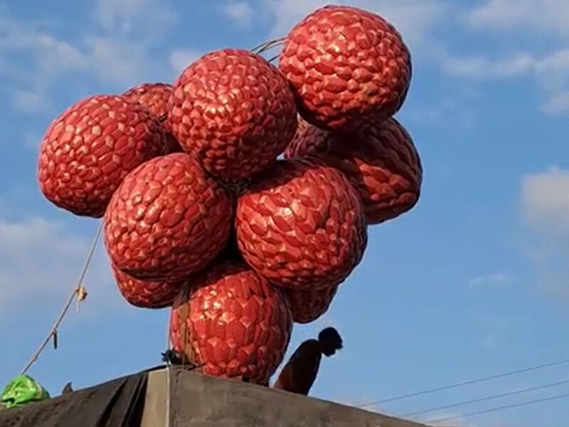 artwork of Shahi Litchi became the center of attraction glimpse can be ...