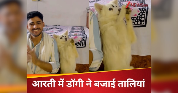 Pet dog immersed in devotion Clapped in Aarti with the owner in such a ...