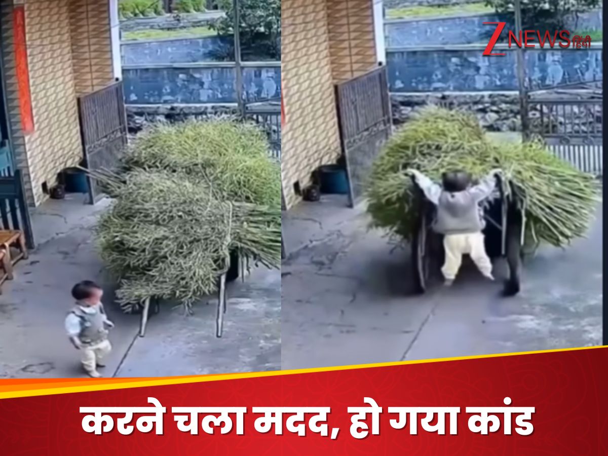 Viral video cute baby pulling grass cart mother helping child videos ...