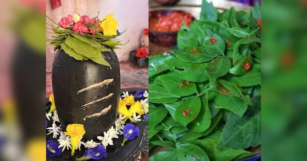 sawan 2025 offer 21 patti wala bel patra to bhagwan shiv and get ...