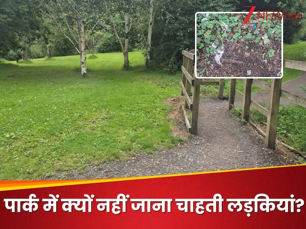 Shameful activities going on in bushes in broad daylight in popular ...