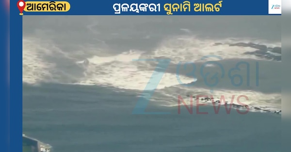 Tsunami waves are hitting Hawaii sudden water level rise seen in ...