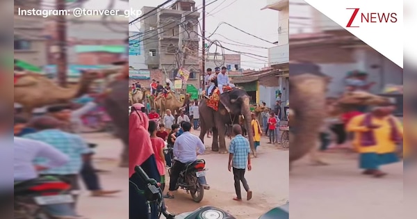 man giving something to boys sitting on elephant then haathi did something that will make you ...